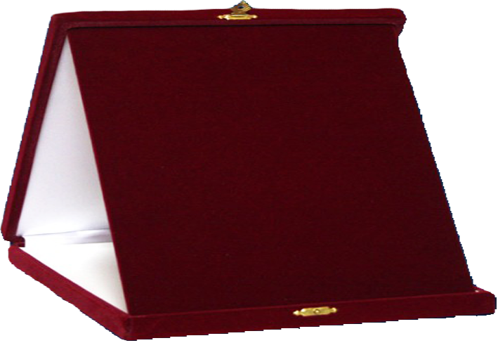 ΑΝΑΜΝΗΣΤΙΚΗ ΠΛΑΚΕΤΑ ΑΠΟΝΟΜΗΣ 14Β-Π (17cm x 13cm)